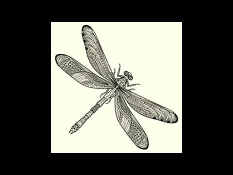 Mystifying Information About the Symbolism of a Dragonfly