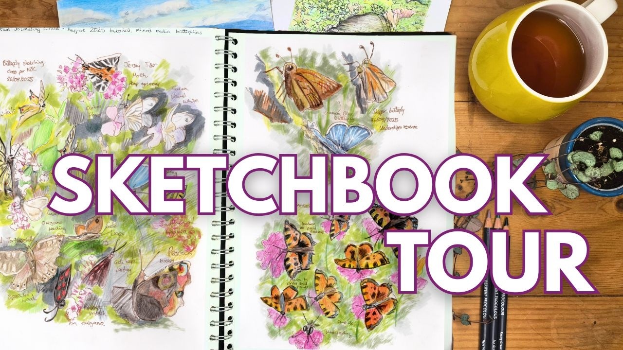 Two years of nature art in my sketchbook