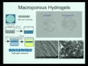 Engineering Angiogenesis Following Spinal Cord Injury