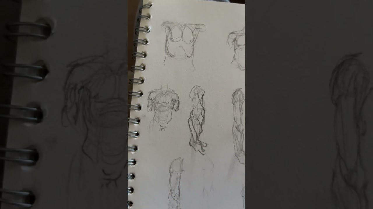 Anatomy practice