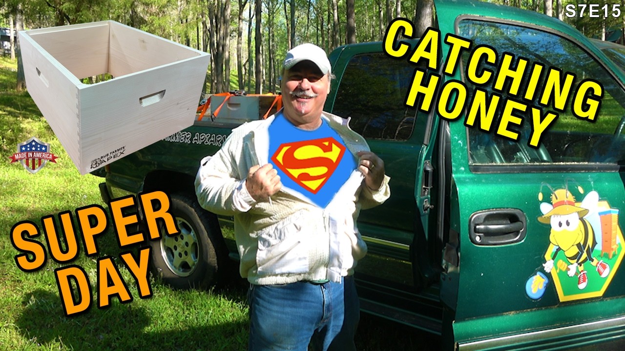 IT'S SUPER DAY!  Adding honey supers to the beehives. Are the bees ready?