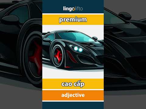 🇬🇧🇻🇳 premium - cao cấp : learn English : hãy học tiếng Anh : vocabulary builder