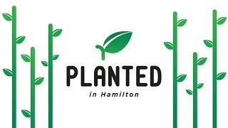 3 Best Vegetarian Restaurants in Hamilton, ON - Expert Recommendations