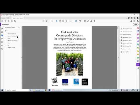 Using a PDF accessibility checker