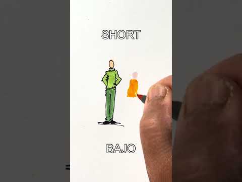 Learn Spanish! ¡Aprenda Inglés! TALL/SHORT : ALTO/BAJO