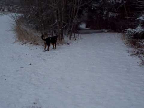 Denissnow01.MOV