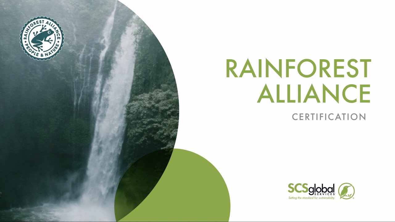 Rainforest Alliance Certification | Seal, Benefits, and Common Questions