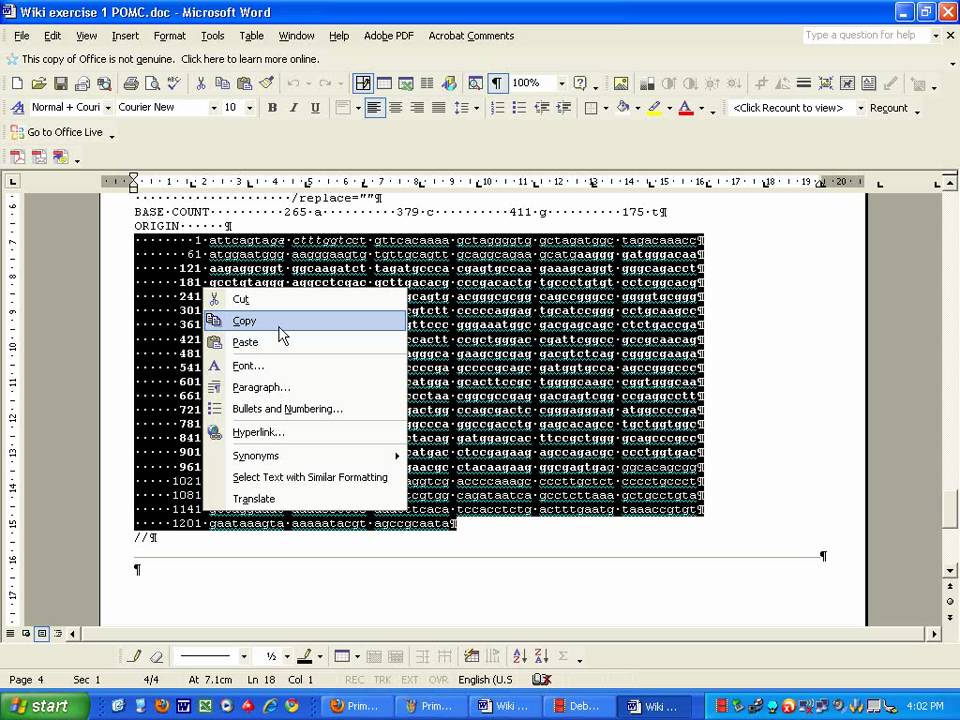 Bioinformatics Exercise 2 (Primer Default).wmv