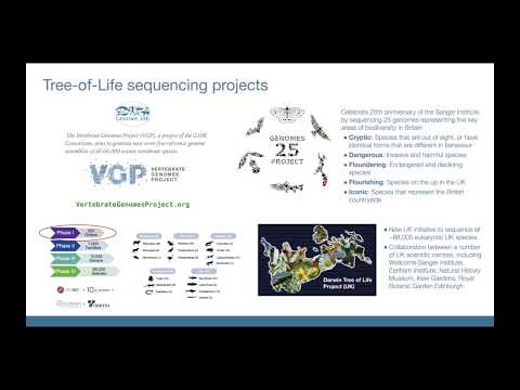 PacBio Sequel II System Early Access Experience at the Wellcome Sanger Institute