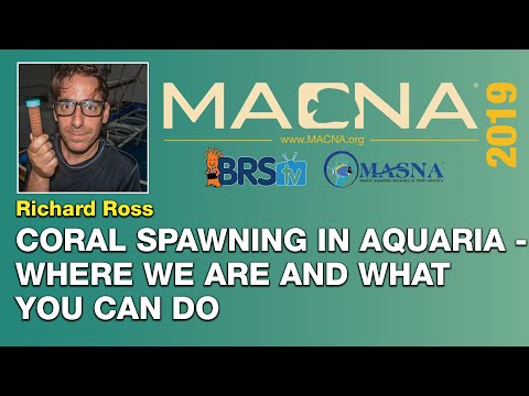 Richard Ross: How can reef aquarium hobbyists help to spawn coral in their tanks? | MACNA 2019