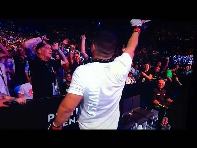 UFC Fight Night 142: Dos Santos vs Tuivasa Preview