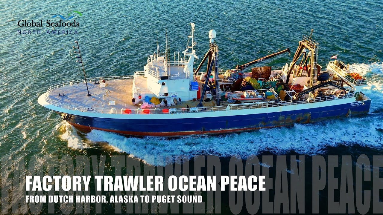 Factory Trawler Ocean Peace in Puget Sound | From Dutch Harbor, Alaska | Groundfish Fleet