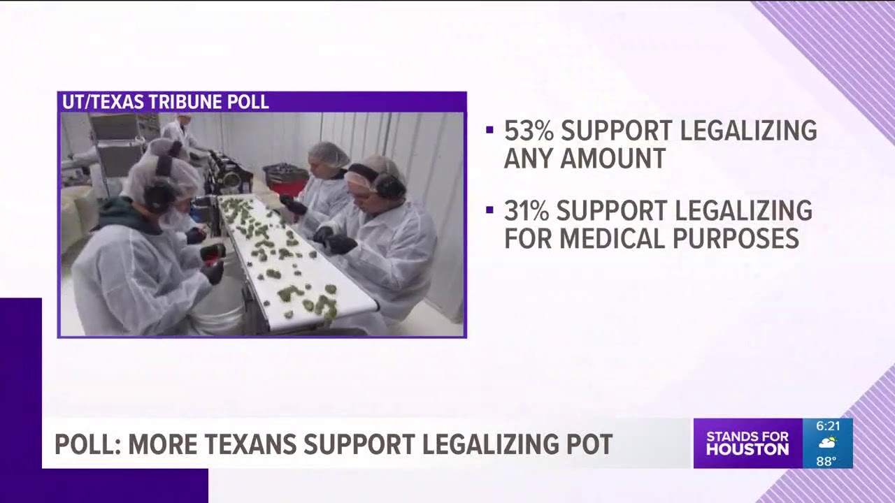 53 percent of Texans support legalizing marijuna