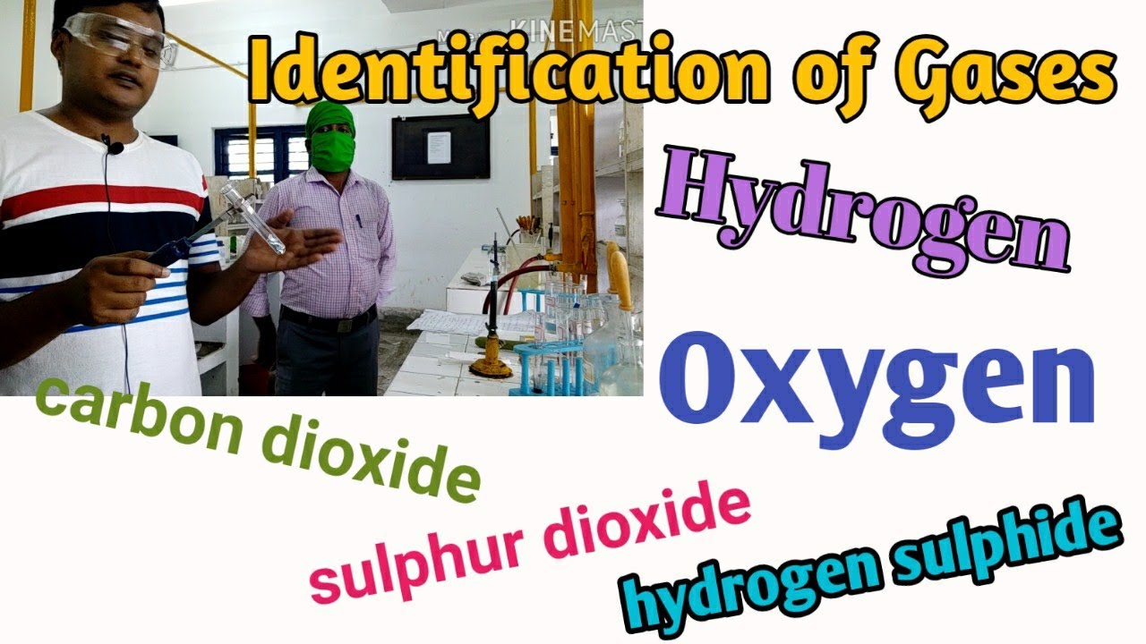 Identification of gases( hydrogen, oxygen, carbon dioxide, sulphur dioxide, hydrogen sulphide)