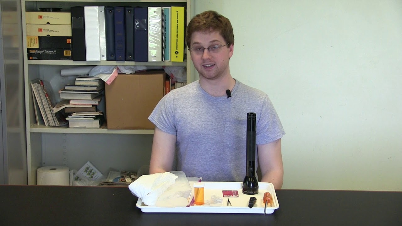 Bed Bug Basic Tools and Tips for Home  Inspection