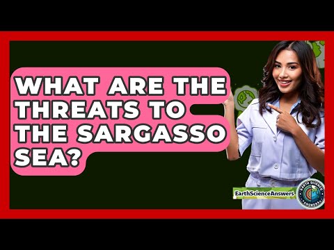 What Are The Threats To The Sargasso Sea? - Earth Science Answers