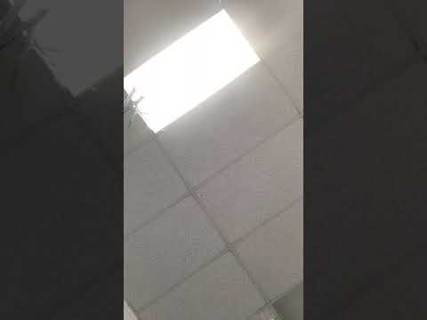 Your moms foot