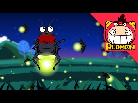 A mean moth and a friendly firefly | Insect world #05 | REDMON