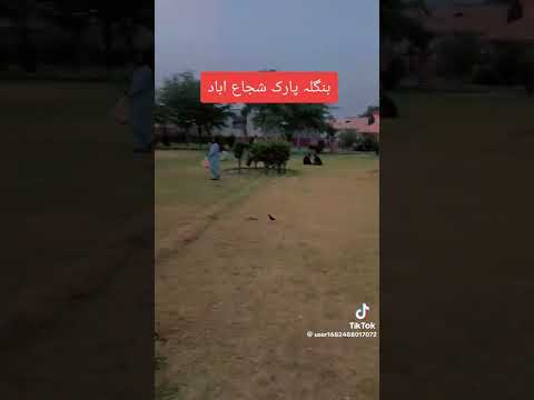 bangla park in front shujabad city m shahzad Khan ghalow