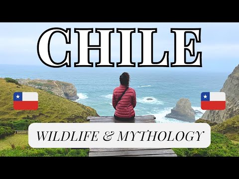 CHILE: YOU WON'T BELIEVE ALL THE DIFFERENT THINGS YOU CAN SEE IN THIS COUNTRY | CHILOÉ TRAVEL GUIDE