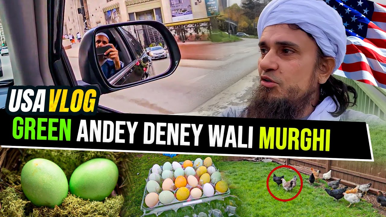 Mufti Tariq Masood USA City And Farm Home Vlog