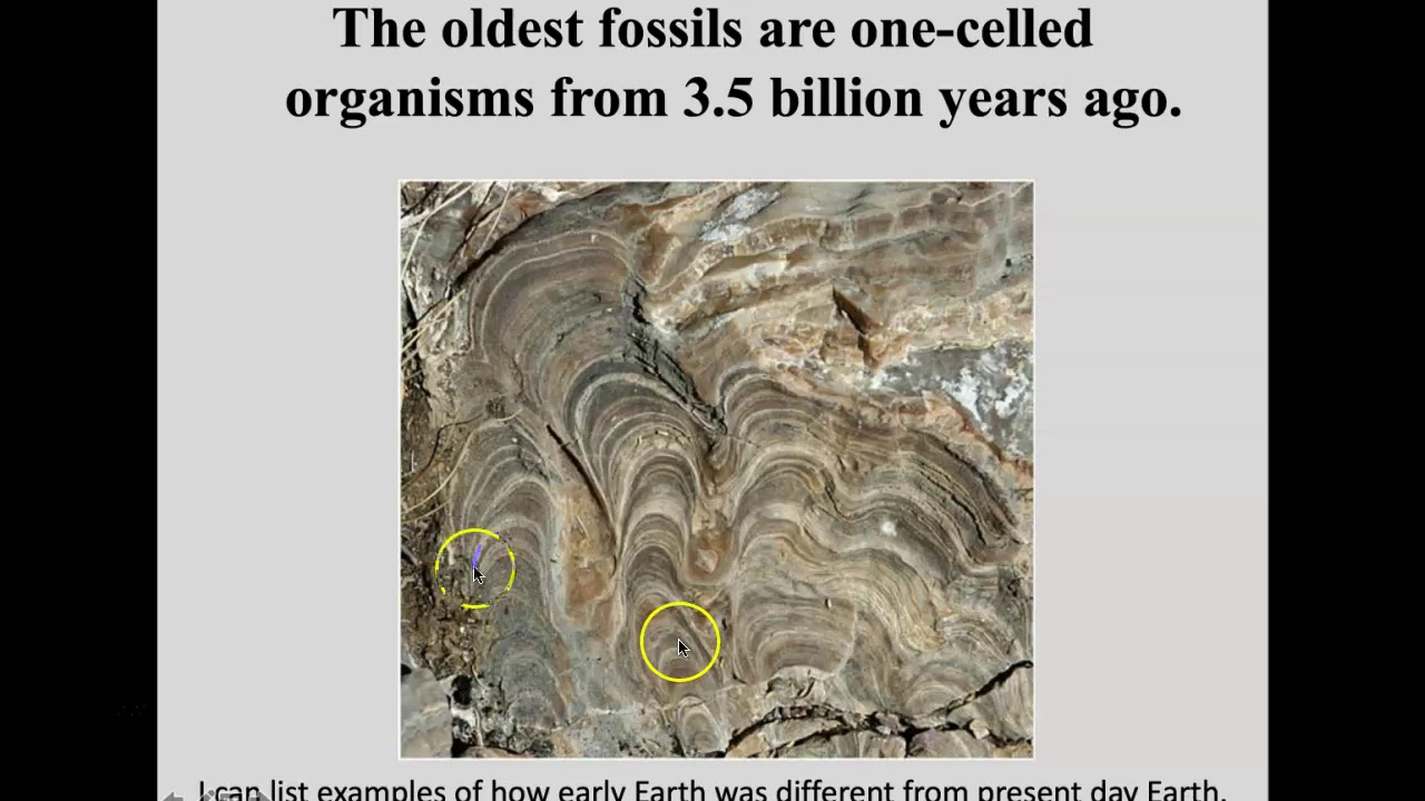 Geo 7: Early Earth - Precambrian Time