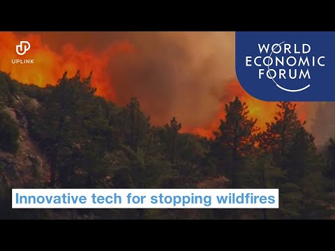 Fighting wildfire with 4 innovative tech inventions | UpLink