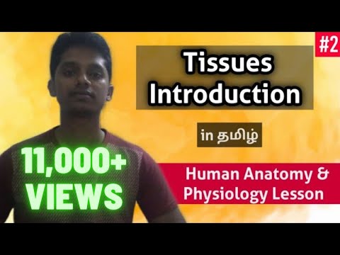 #11 Tissues Introduction in Tamil | Human Anatomy & Physiology