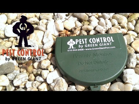 How to Install Your Termite Monitor | Pest Control by Green Giant