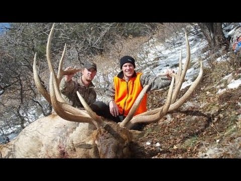 Monster 414" Bull Elk Hunt - Steve Broadbent - MossBack