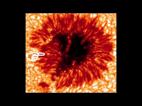 SciFri Archive: Solar Spotting