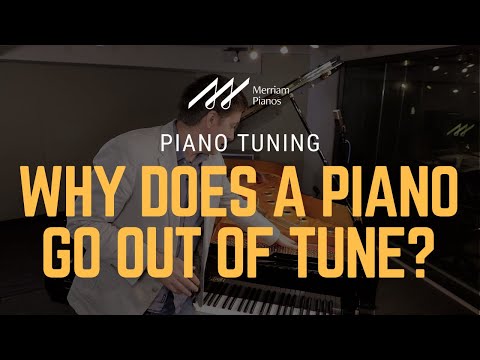 🎹Piano Tuning: How and Why Does a Piano Go Out of Tune? 🎹