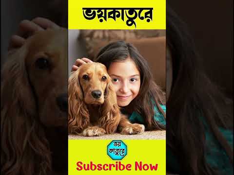 Unknown Bengali Facts😱 Ep-121 || Facts Bangla || Knowledge facts #shorts #youtubeshorts