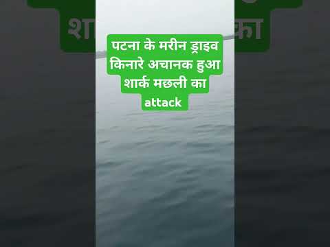 Shark attack in ganga river #ganga #bihar #shark #viralshorts #marinedrive