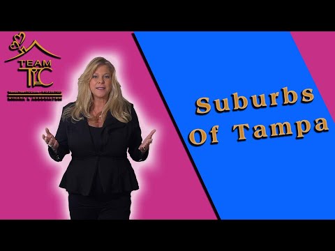 Suburbs of Tampa - Overview