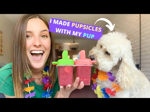 3 DIY PUPSICLE RECIPES: trying to make pupsicles with my pup who has a lot of attitude...