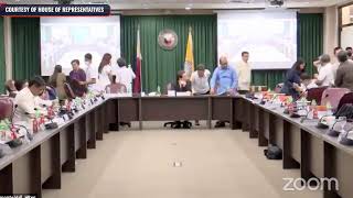 LIVE: House public consultation on charter change