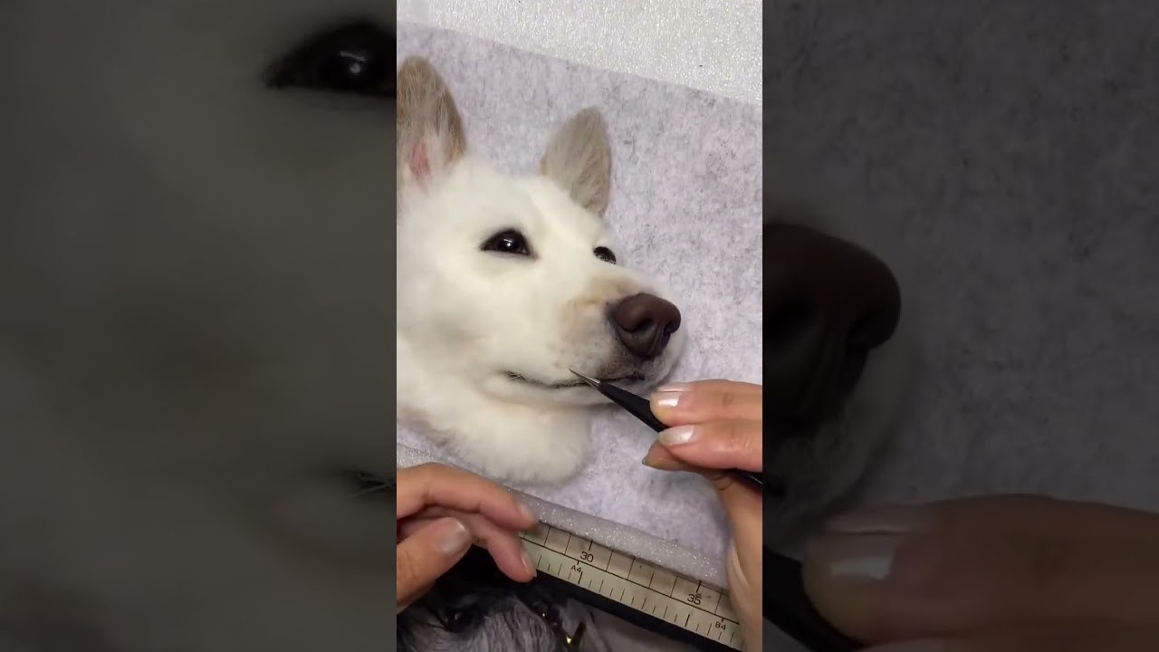 Needle Felted Portrait to Remember Your Pet – A Handmade Memorial Gift