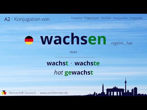 Konjugation des Verb „wachsen“ (regelm., hat) - alle Zeitformen lernen, Übersetzung, Tutorial