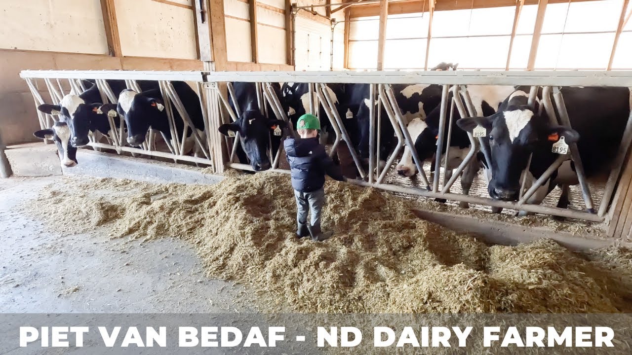 Q&A for Video 29: Breeding Program for Dairy Cattle