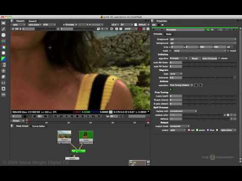 Nuke; Basic Workflows; Primatte - Part 2 Video Lecture - Create Visual Effects with Nuke ...