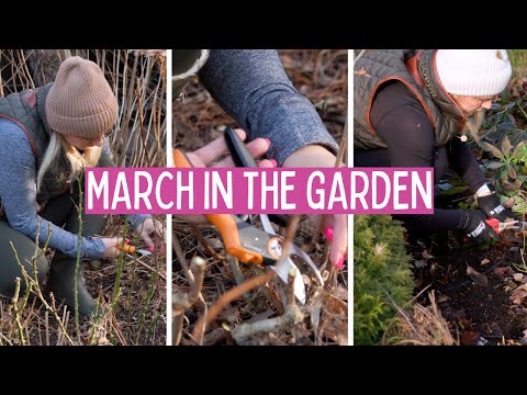 March Gardening Tasks: Your Ultimate To-Do List | Garden with Marta