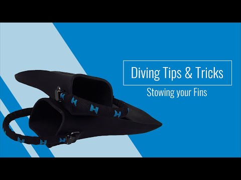 Diving Tips & Tricks: Stowing your Fins