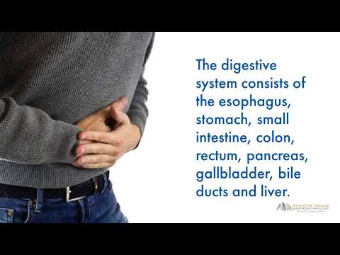 What is a Gastroenterologist? (v)
