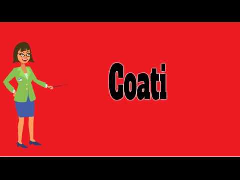 Coati | Pronunciation | Meanings | Examples | Definition | Animals Name