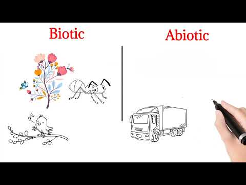 What are the biotic and abiotic resources? give some examples. class 10 chapter- 1 Q4 SST geo