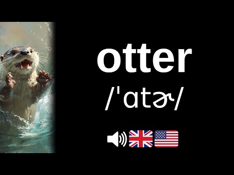 How to pronounce otter (CORRECTLY!) | UK vs US pronunciation