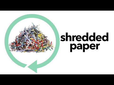 What Items Go Where! Shredded Paper