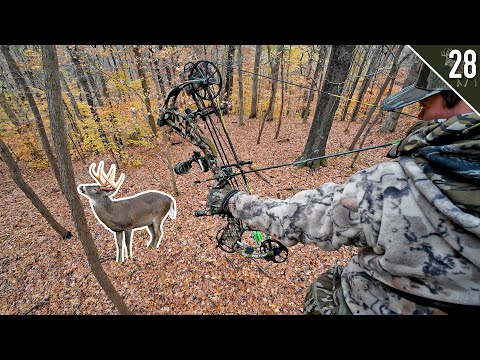 Big Buck in Bow Range!!! - (Adapting to Hunting Pressure)