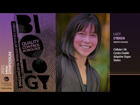 Dr. Lucy O’Brien: Cellular Life Cycles Enable Adaptive Organ States